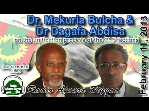 Dr. Mekuria Bulcha & Dr. Dagafa Abdisa at Oslo OLF Unification Meeting | Oromo Freedom News and ...