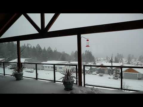 Snowing on Camano Island, WA