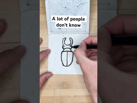 Try this EASY doodle: how to draw a beetle 🪲 #howtodraw #beetle #drawingtutorial