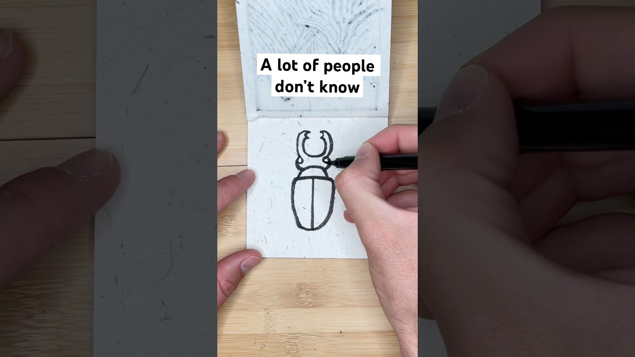 Try this EASY doodle: how to draw a beetle 🪲 #howtodraw #beetle #drawingtutorial