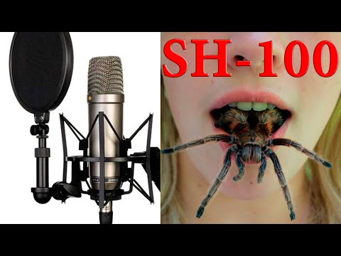 Microphone SHOCK MOUNT SH 100