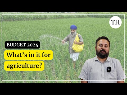 Budget 2024: What's in it for agriculture?
