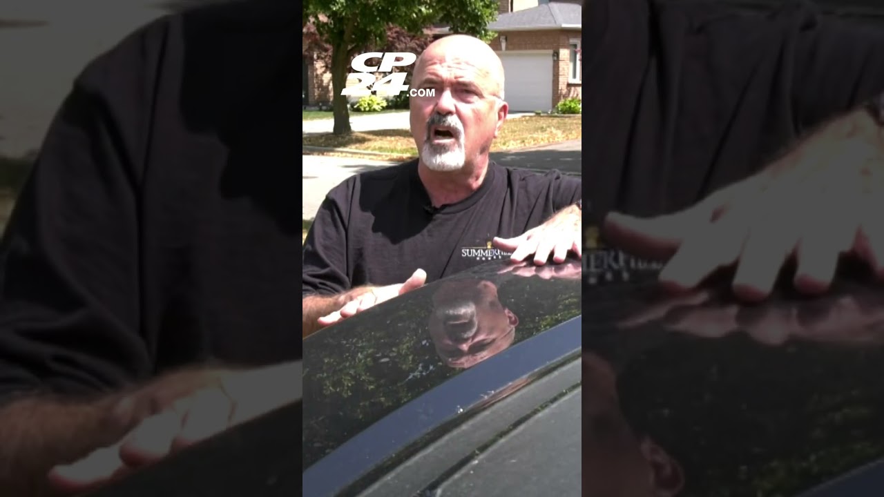 Vehicle history report fails to catch rolled back odometer