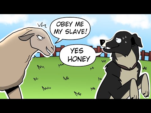 Cute Animal Twist Comic Dub | Pet Foolery Comic Dub #8