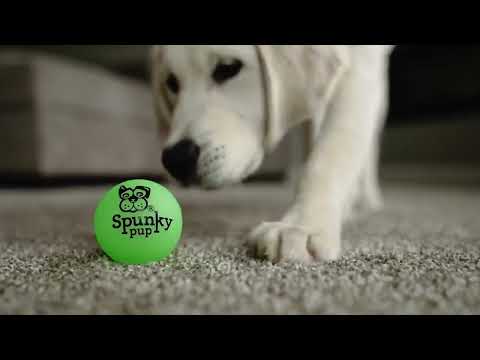 Spunky Pup Fetch & Glow Ball - Glow in the Dark Dog Toy