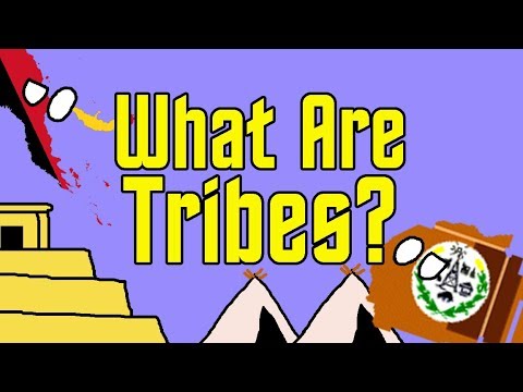 What is a Tribe?