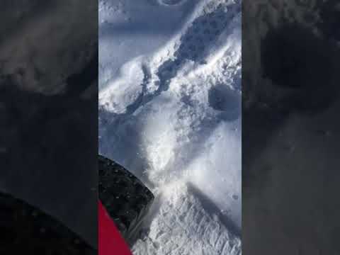 Quad Apex 100cc