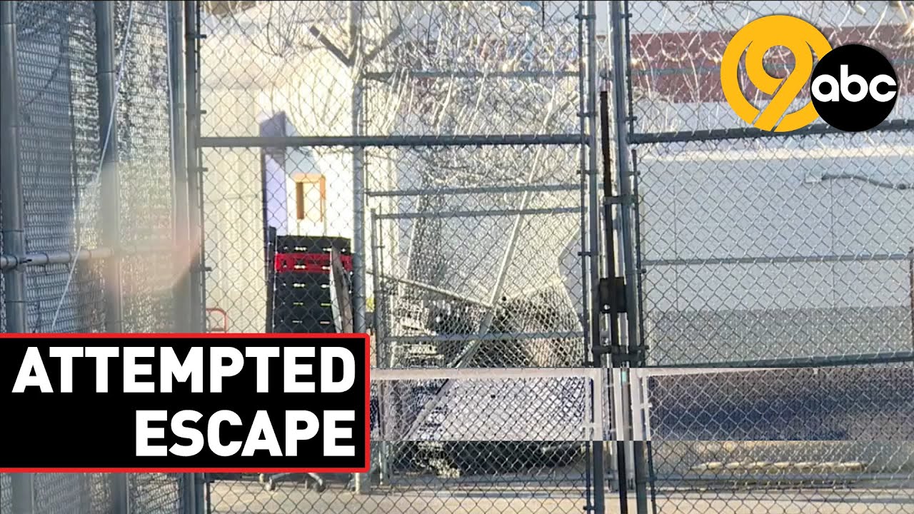 Inmate tries to escape in transport van, injuring officer in process