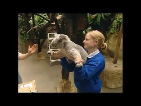Duisburg Zoo, Ruhrpott Schnauzen, 10 (English subtitles)