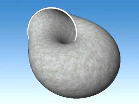 The Projective Plane | Scientific Gems