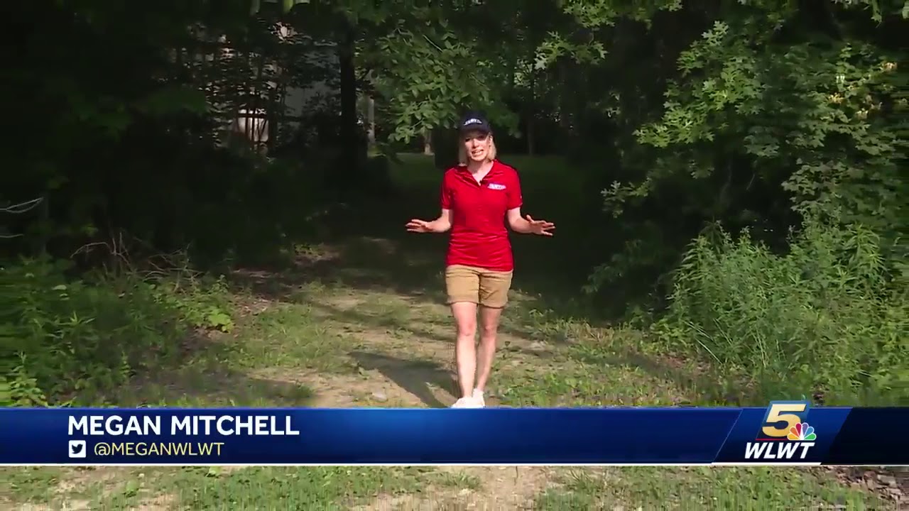 Inner-city kids spend week at Camp Joy