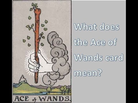 Tarot meanings - what does the Ace of Wands card mean?