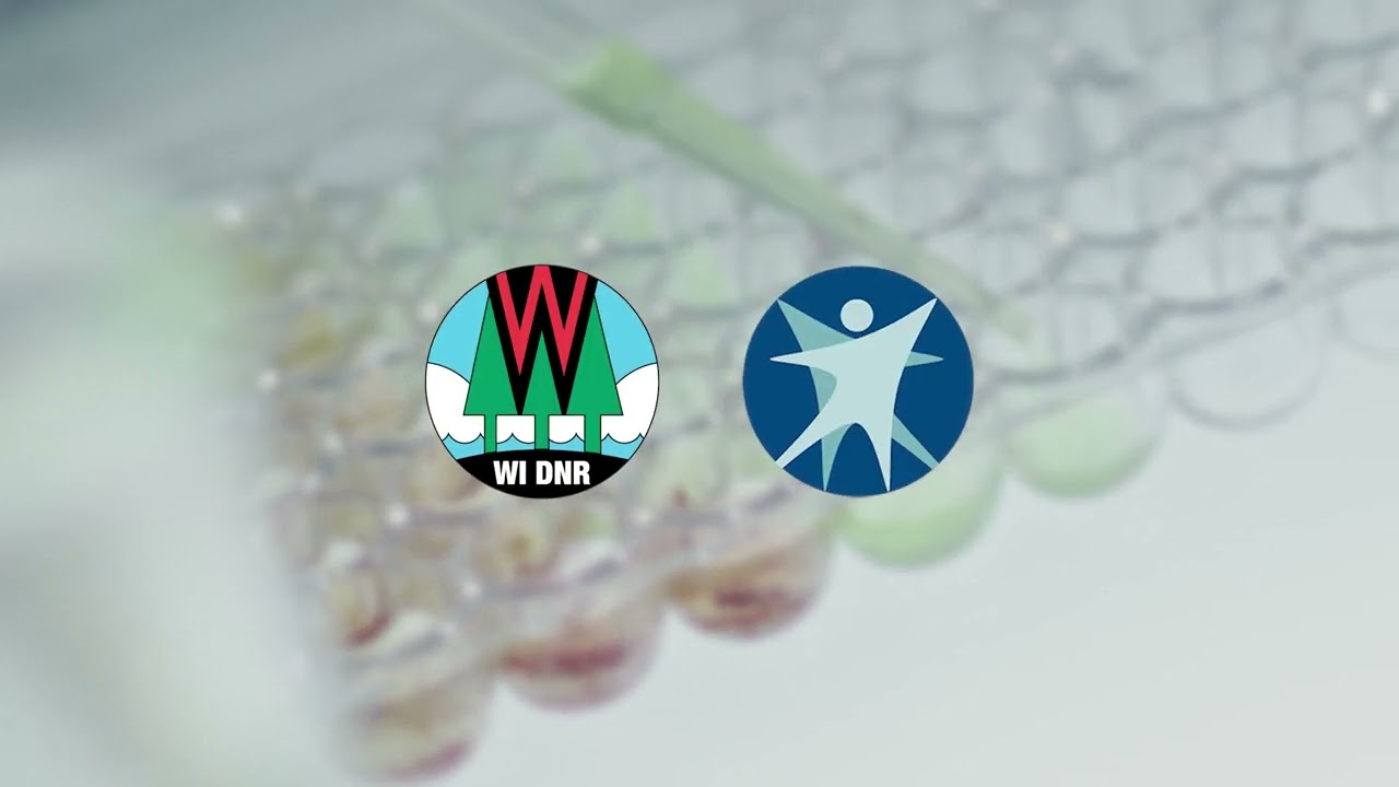 How Wisconsin Is Addressing PFAS