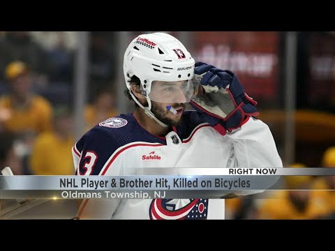 NHL player and brother hit, killed while riding bicycles