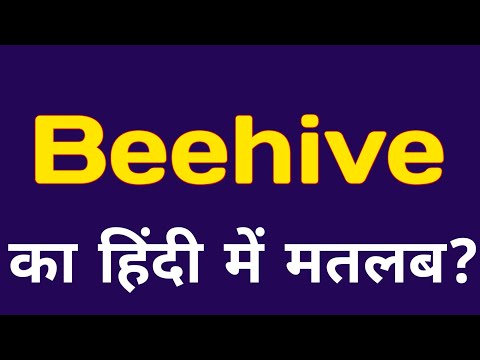 Beehive meaning in Hindi | Beehive ka hindi mein kya matlab hota hai ? | Beehive means
