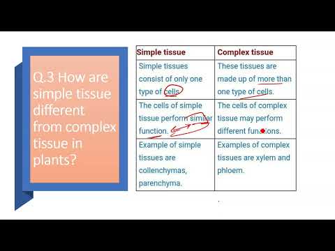 How are simple tissue different from complex tissue in plants?