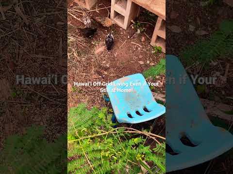 Off Grid Living Solutions Hawai’i Even if Your Still at Home! Prepare Now Hawai’i!