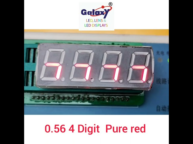 Seven Segment Display - 2 Digit 7 Segment Display Importer from Mumbai