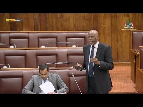 Débats budgétaires - Lesjongard à la Speaker : «I need your protection to be able to speak»