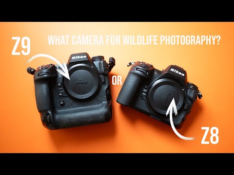 Nikon Z8 & Z9: Wildlife photography (1695)