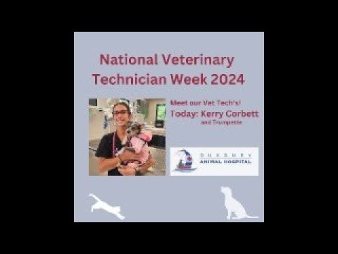 National Veterinary Technician Week 2024 - Meet Kerry!