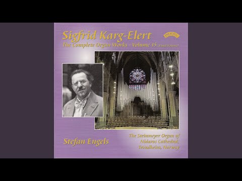 3 Pieces, Op. 4: No. 3, Wiegenlied, HK 89 (Arr. S. Karg-Elert for Organ)