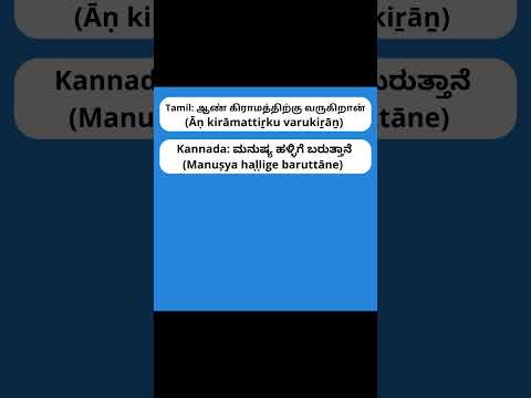 What do Dravidian languages have in common? #Shorts