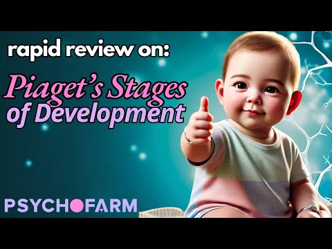 Jean Piaget Four Stages of Cognitive Development (Piaget Theory Explained)