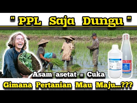 š“ Banyak Belajar Lagi Ya Pak PPLā¼ļø Asam Asetat, Cuka, Alkohol, Etanol itu Tidak Bisa Sapu Rata samaš¤£