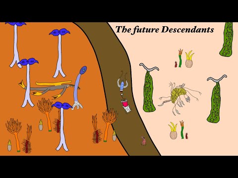 The future descendants of wildlife EP2 | SBIAMC