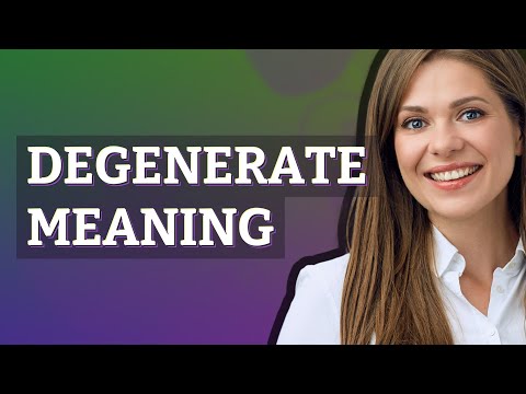 Degenerate | meaning of Degenerate
