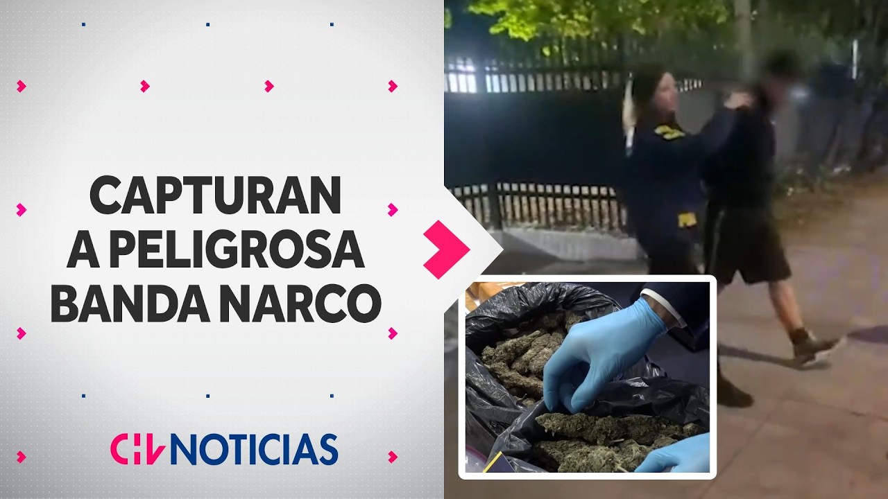 Incautan más de 60 kilos de drogas tras captura de banda narco que operaba en zona norte de RM