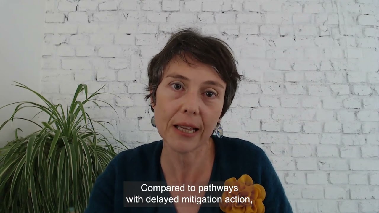 IPCC Climate Change 2022: Mitigation on Climate Change - IPCC Author Celine Guivarch