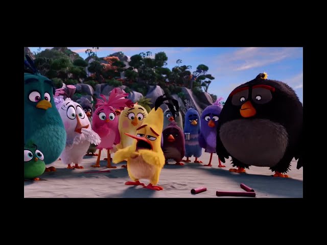 The Egg Laying Challenge: A Look into the Angry Birds Phenomenon ...