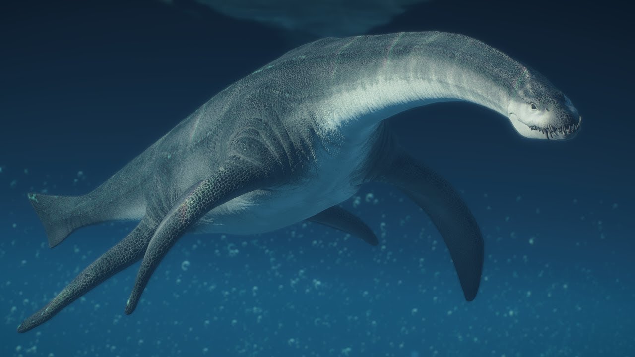 Early Evolution of Plesiosaurs