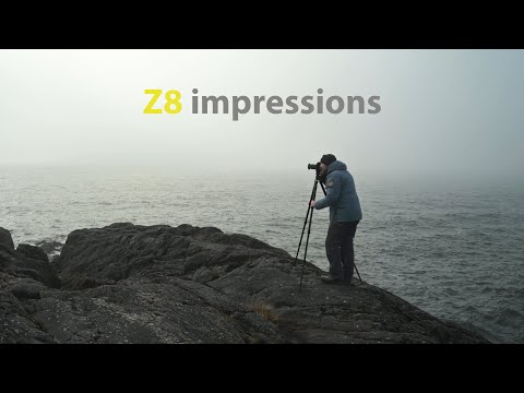 Nikon Z8: Moving from Z7 (1695)