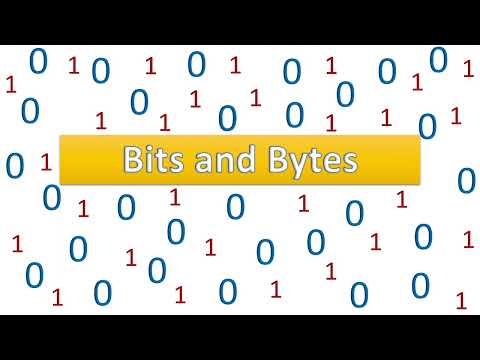 Bits and Byte Explanation Video | Bit and Byte | Educational Video | Computer memory