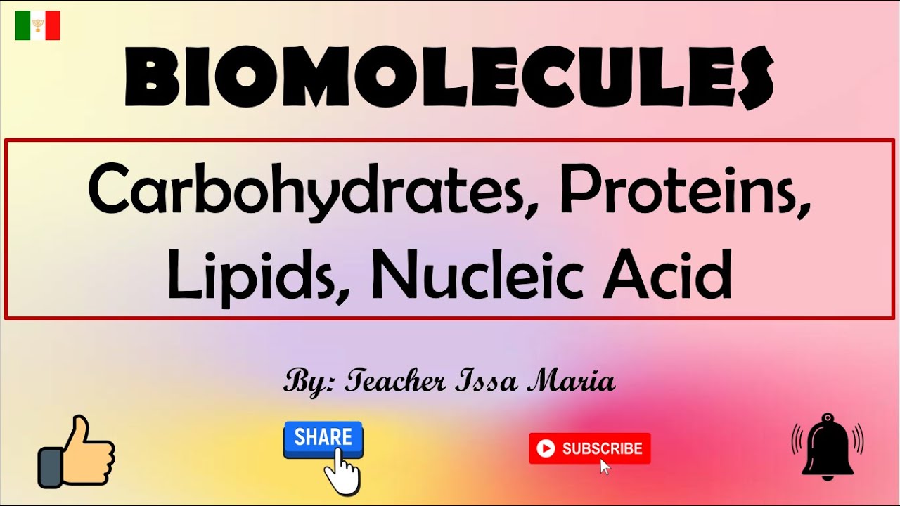 Understanding Biomolecules: Classification and Importance in Life ...