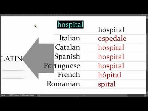 Reconstructing Latin Root Words using the Romance Languages, #1