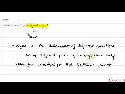 What is meant by division of labour ? | 9 | TISSUES | BIOLOGY | PRADEEP | Doubtnut