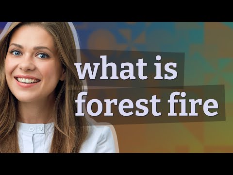Forest fire | meaning of Forest fire