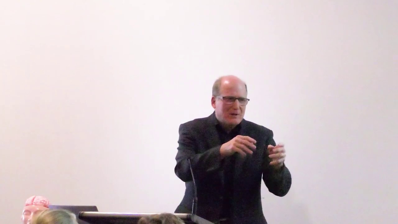 Brain Plasticity: A key to the brain’s resilience against pathology?