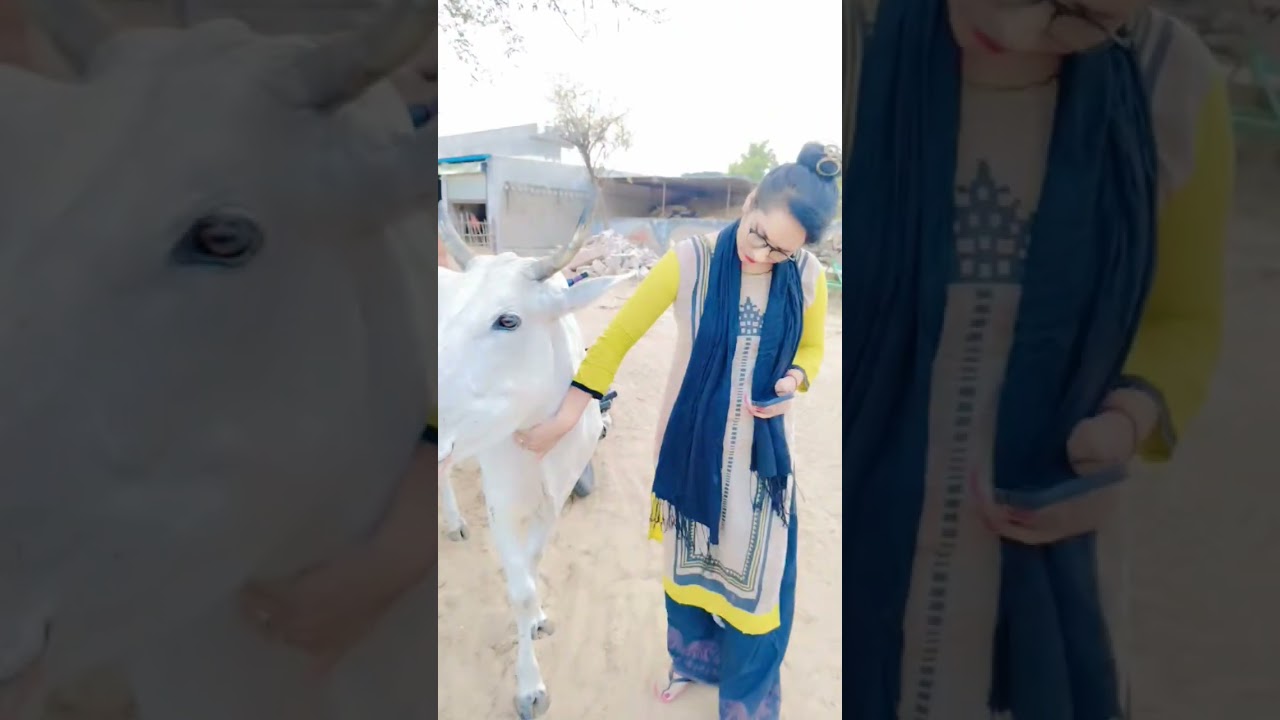 Jai gau maa #newsong #song #haryanvisong
