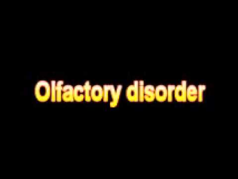 What Is The Definition Of Olfactory disorder