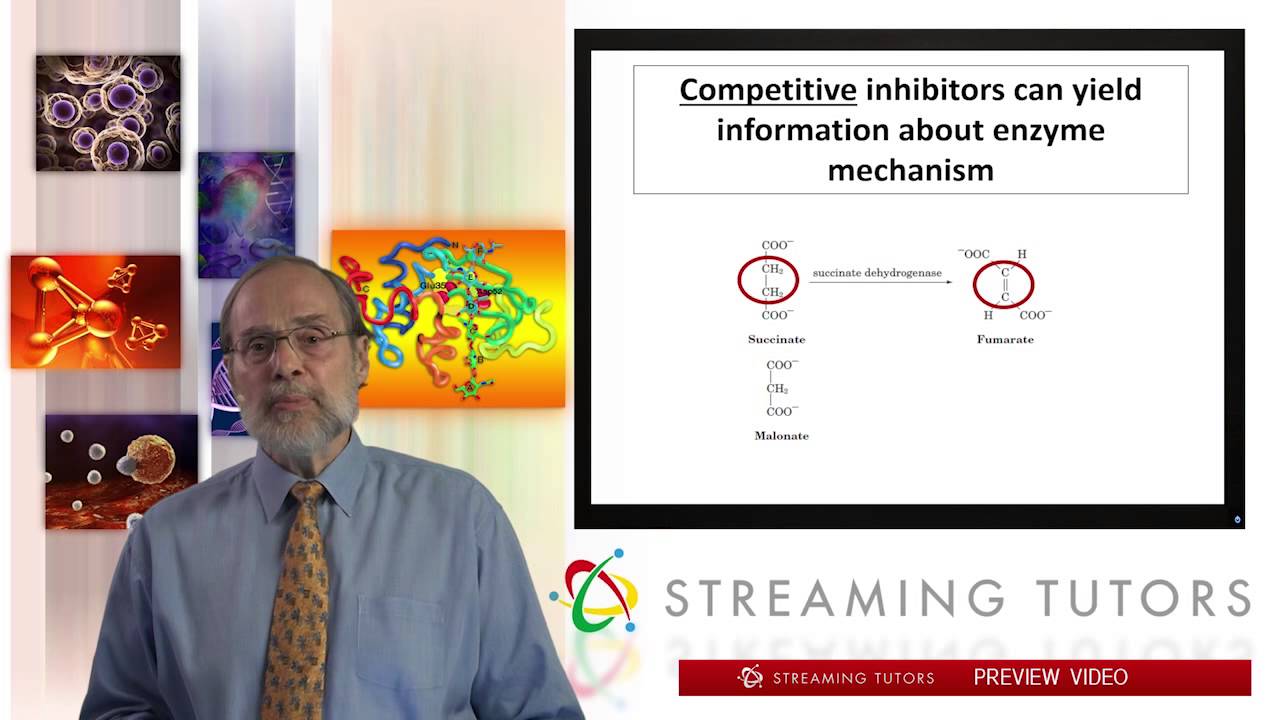 Biochemistry   Enzyme Inhibition tutorial