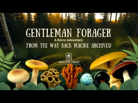 Hidden Fungi Gems: A Mystical Mushroom Hunt in Northern Minnesota | GF Archives