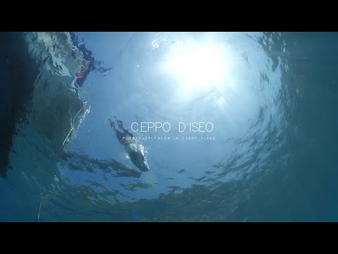 Ceppo D'Iseo : Forged Splendor in Every Flake | RAK Ceramics
