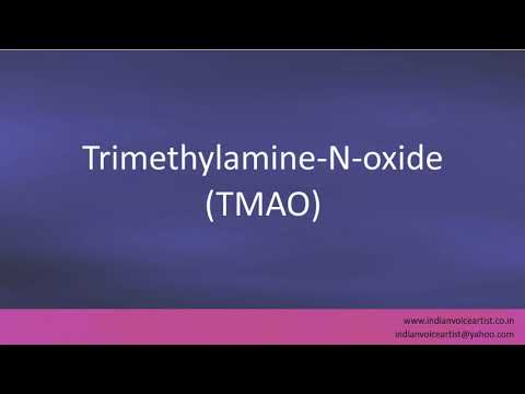 Pronunciation of the word(s) "Trimethylamine-N-oxide (TMAO)".