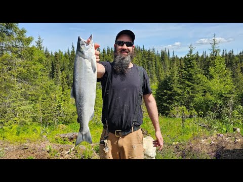 Snagging Sockeye Salmon in Seward | Final Summer Garden Planting
