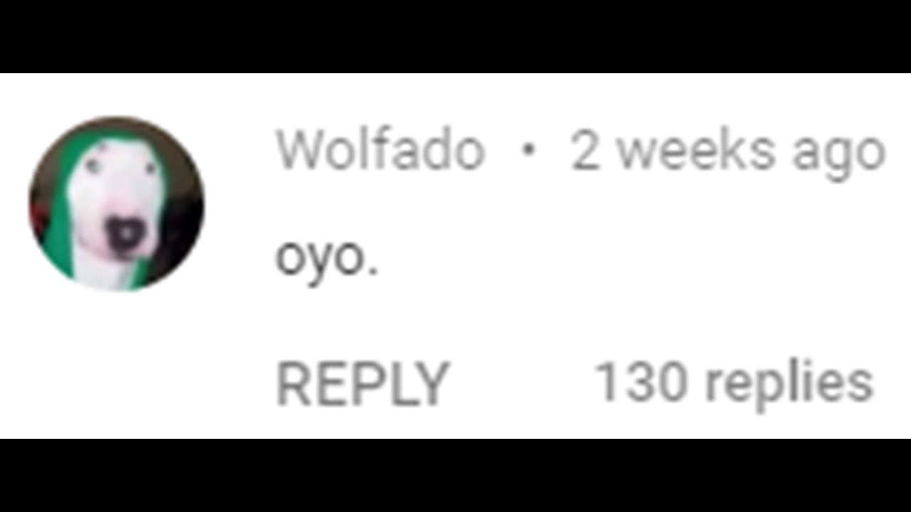 My Comment Section in a Nutshell 13